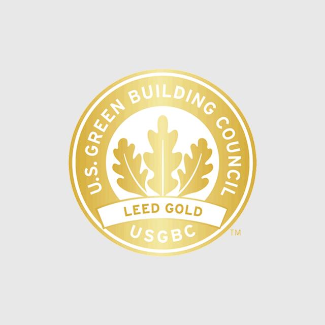 INSIGHT | Simpletree